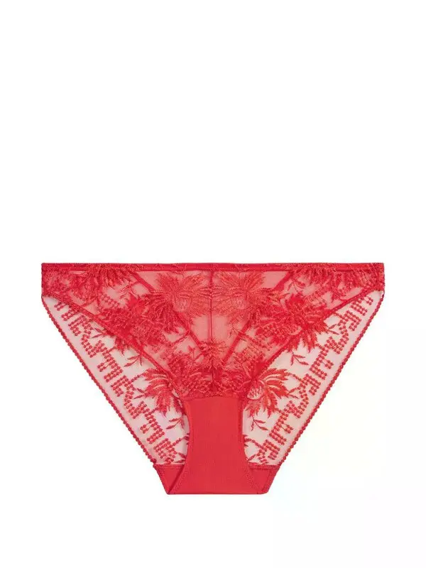 AUBADE Rules Of Attraction Embroidered Briefs