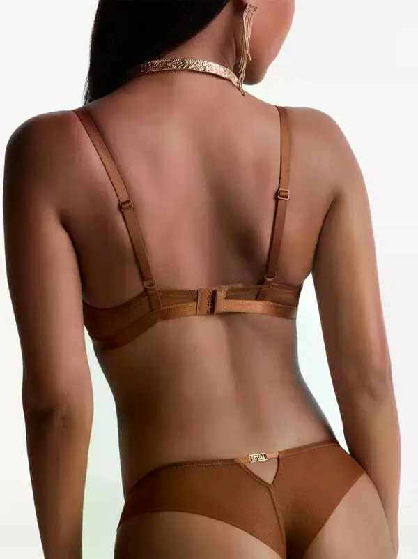 AUBADE Rules Of Attraction Embroidered Briefs - Brown