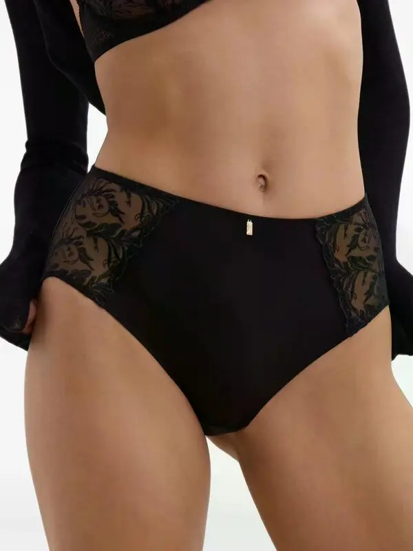 AUBADE Hidden Treasure Embroidered Briefs
