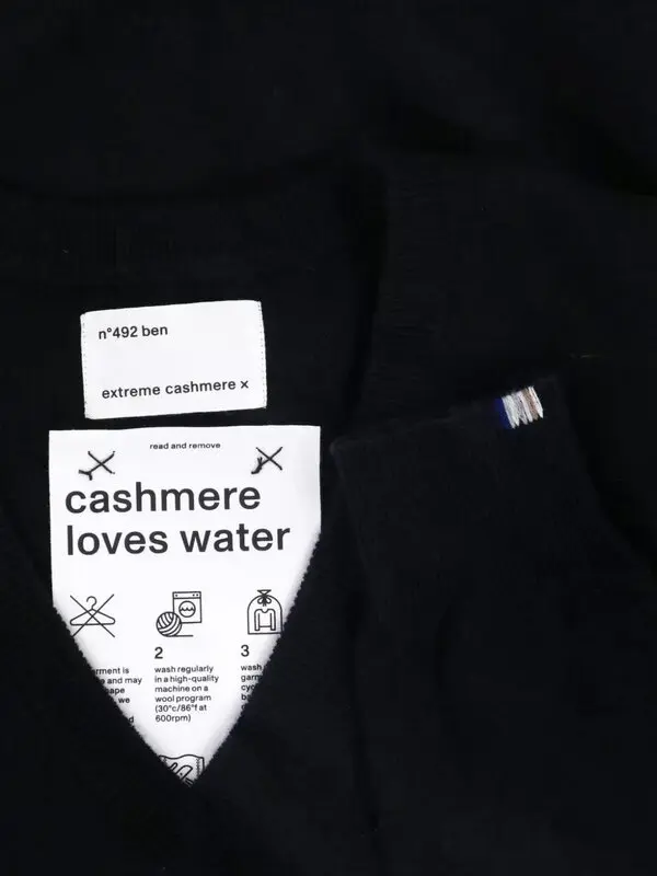 Extreme Cashmere N°492 Ben V-neck Sweater
