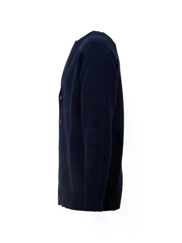 AMARANTO Distressed V-neck Cardigan