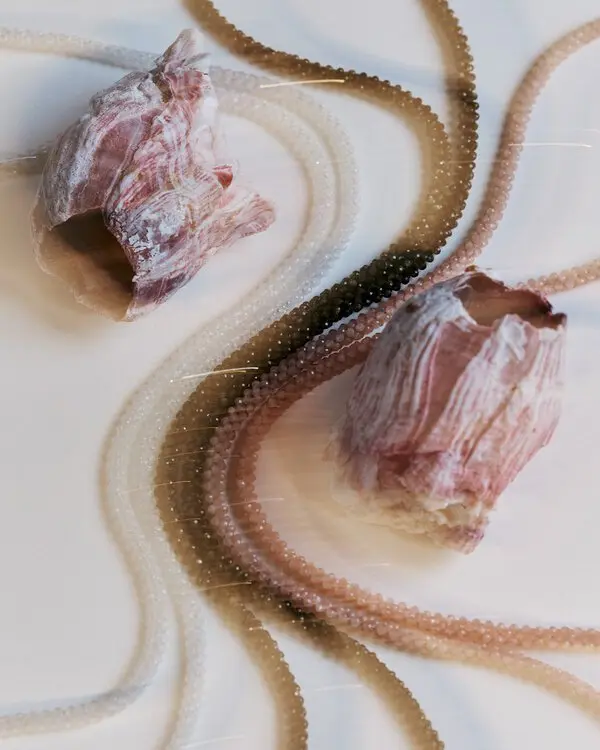 BY PARIAH Lumina Strand | Peach Moonstone