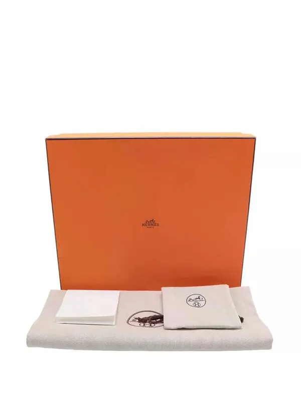 Hermès 2025 Clemence Evelyne Iii 29 Crossbody Bag