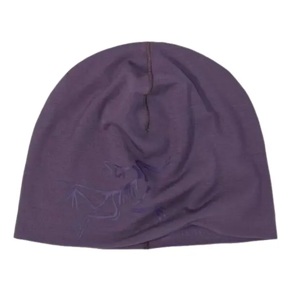 Arc'teryx Satoro Merino Toque