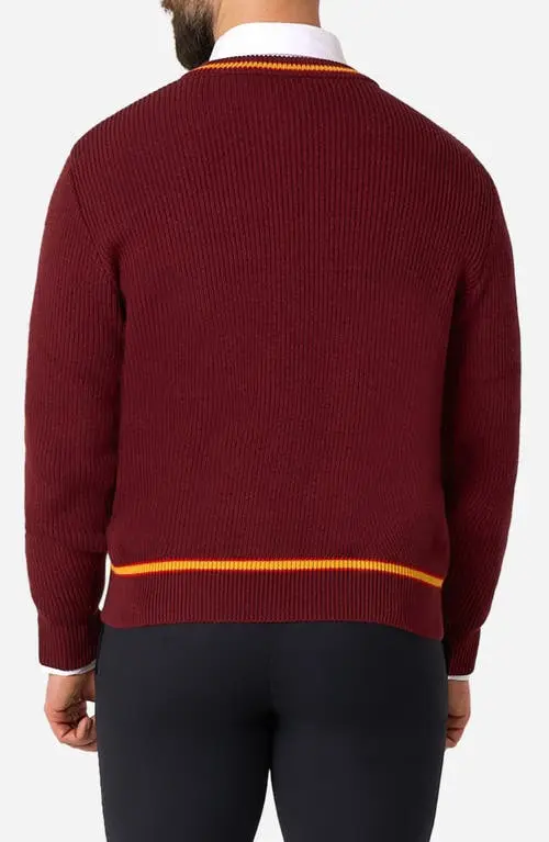 Opposuits Harry Potter Gryffindor Sweater