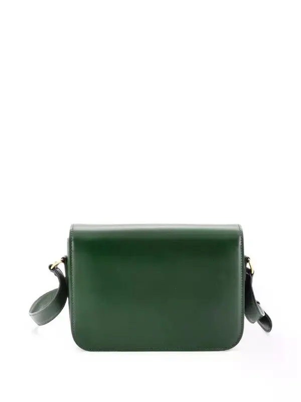 Celine Triomphe Shoulder Bag Smooth Calfskin Medium Crossbody Bag