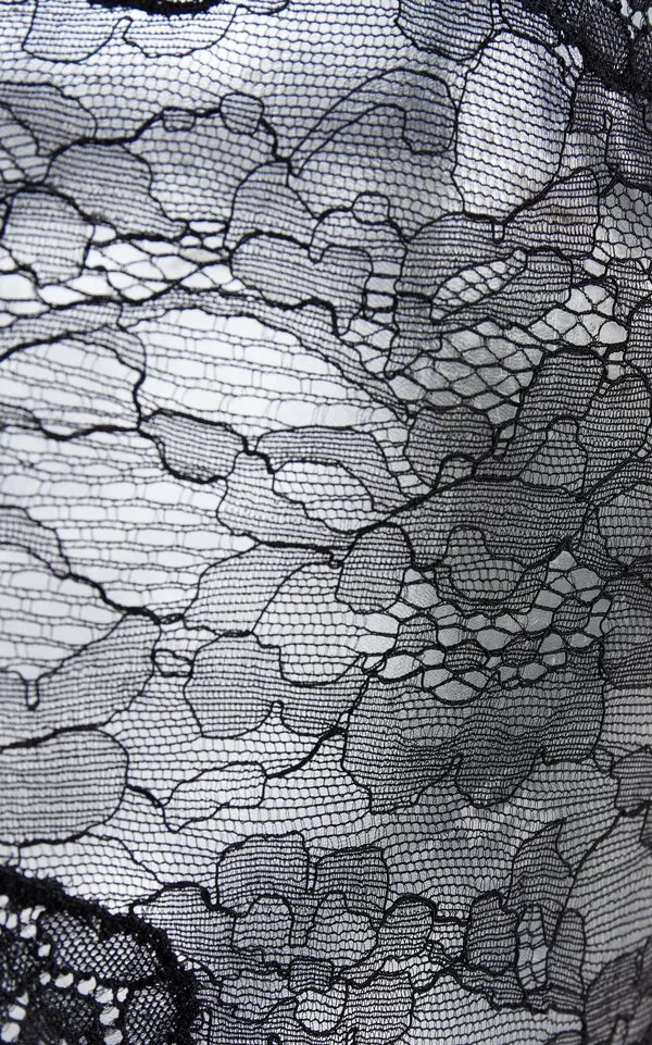Saint Laurent Sheer Lace Briefs