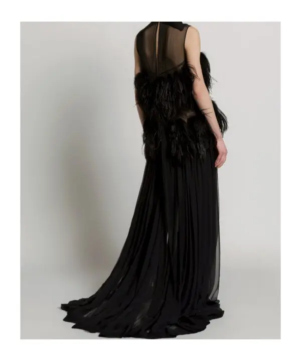 Alberta Ferretti Ethereal Silk Chiffon Feather Gown