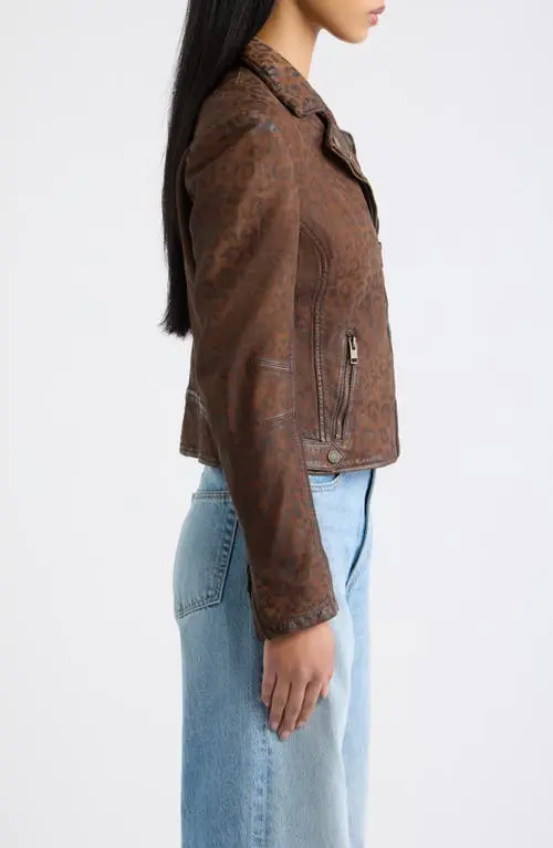Mauritius Nyxa Rf Leopard Print Suede Leather Jacket