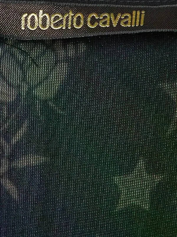 Roberto Cavalli Floral-print Maxi Dress