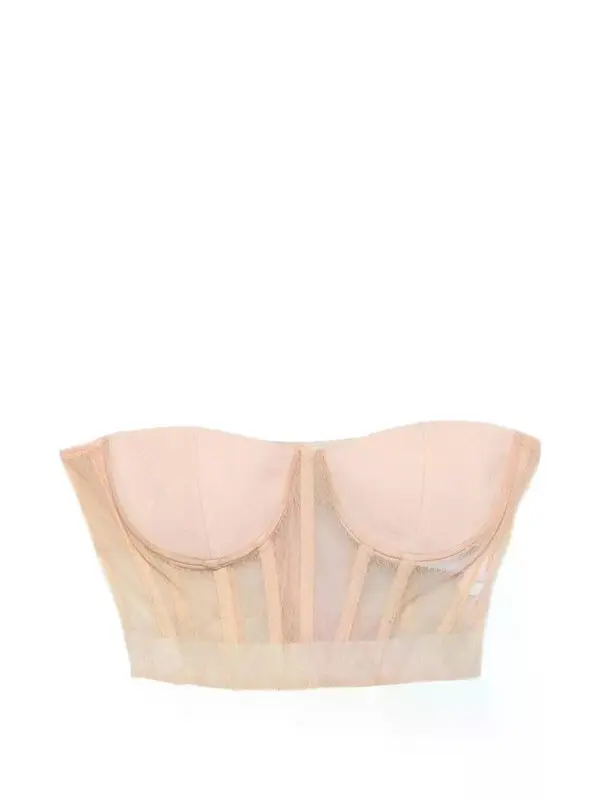 Elisabetta Franchi Sheer-panelled Corset Top