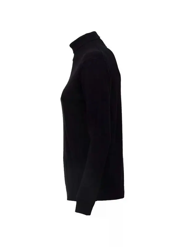 Max Mara Kiku Roll-neck Sweater