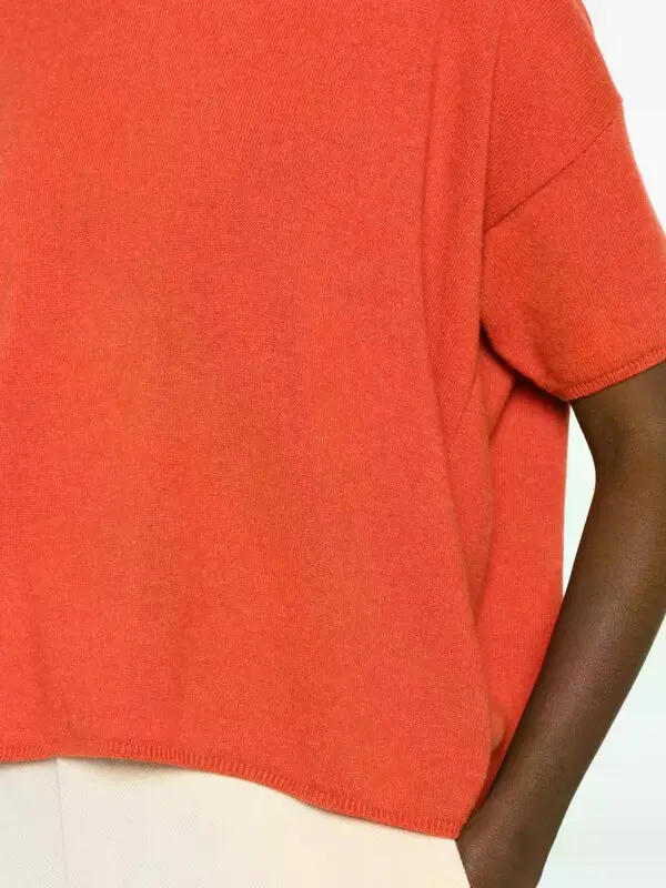 C.T.PLAGE Short-sleeve Cashmere Sweater