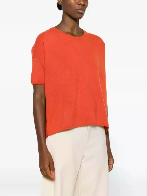 C.T.PLAGE Short-sleeve Cashmere Sweater