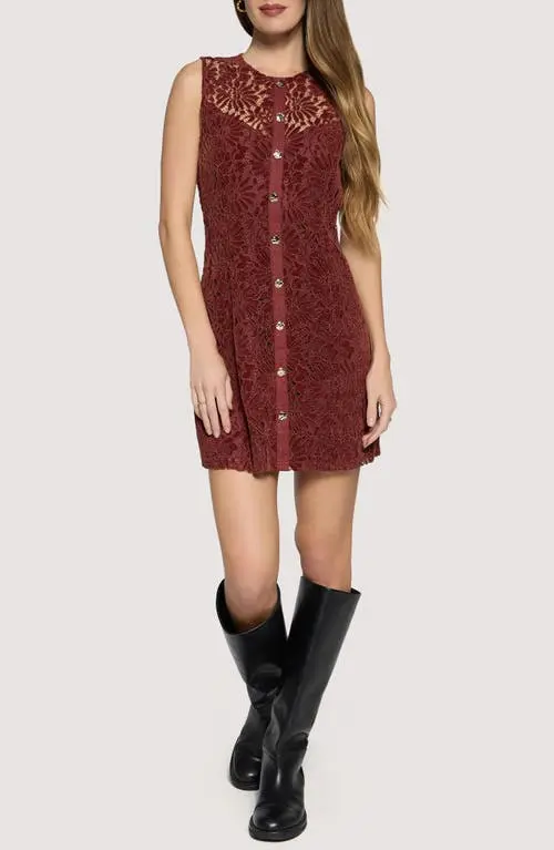 LOST + WANDER Merlot Whisper Floral Lace Minidress