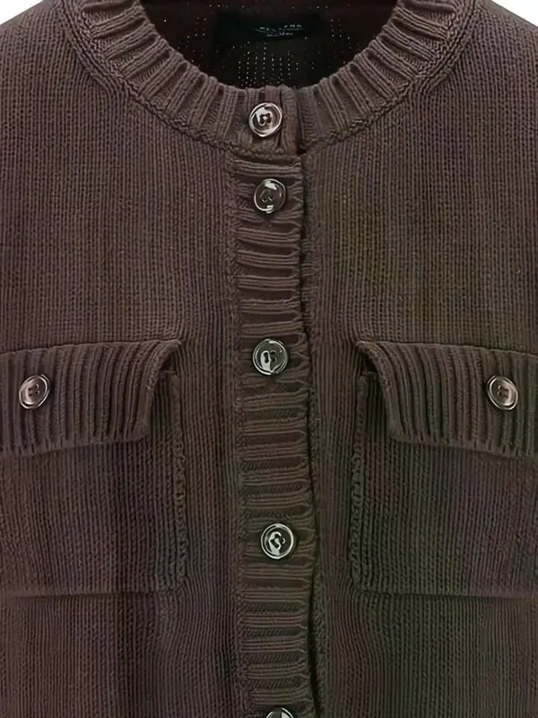 Max Mara Caprara Button-up Gilet