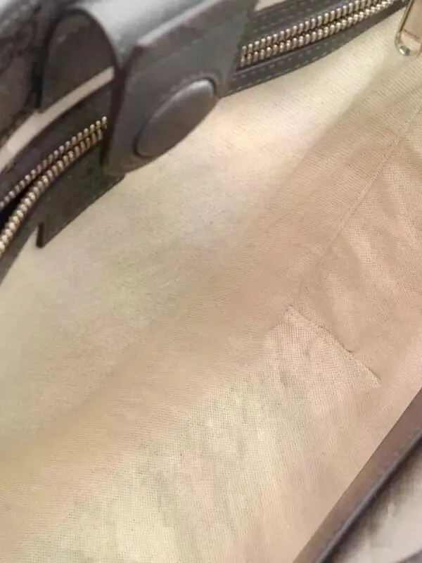 Gucci 2016-2026 Gg Supreme Ophidia Tote Satchel