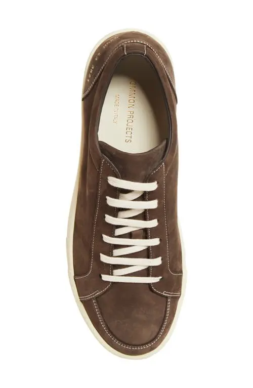 COMMON PROJECTS Skate Sneaker - Brown