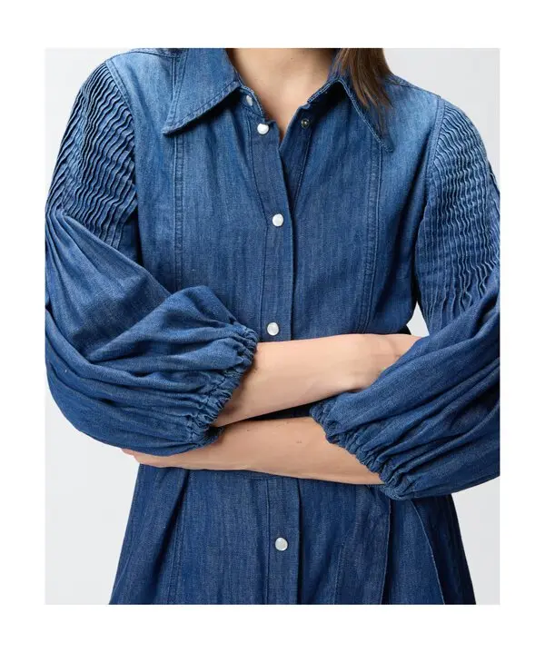Pinko Shirred Belted Denim Dress