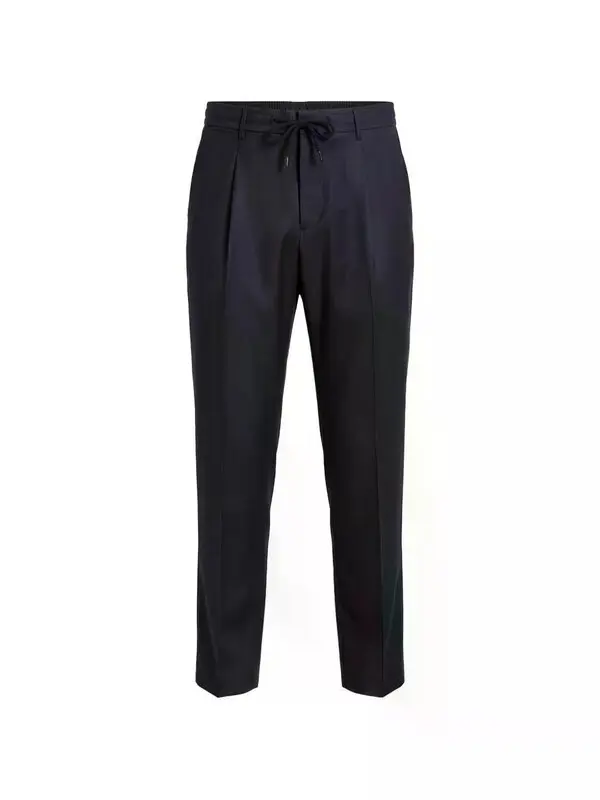 Peserico Pleated Drawstring Tailored Trousers