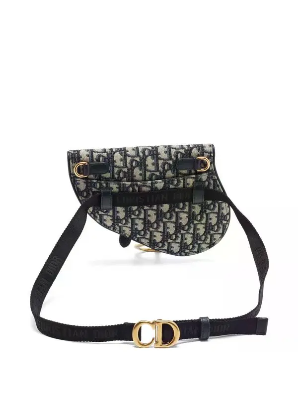 Dior 2019 Medium Oblique Saddle Belt Bag - Neutrals