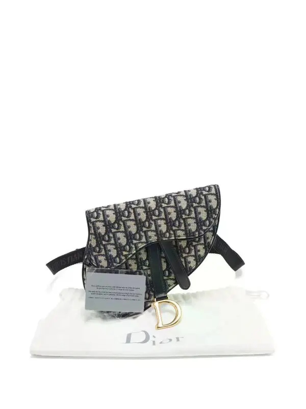 Dior 2019 Medium Oblique Saddle Belt Bag - Neutrals