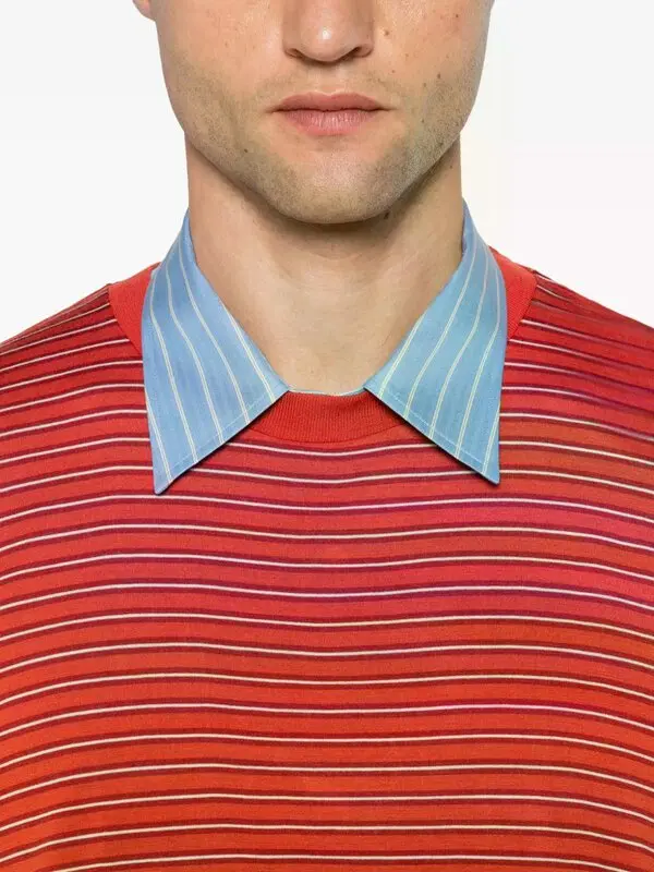 Auralee Striped Long-sleeve T-shirt
