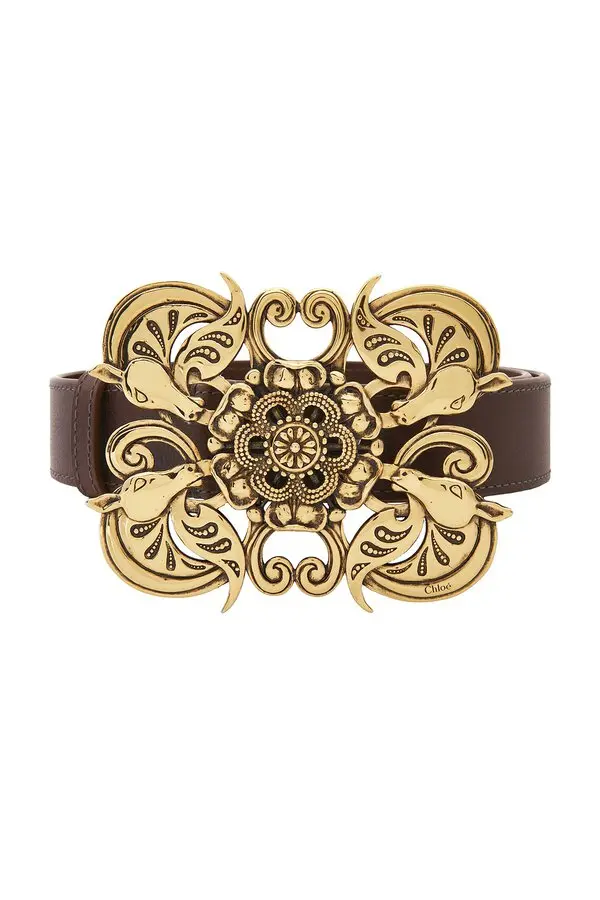 Chloé Modern Talisman Belt In Brown - Authentic Brown