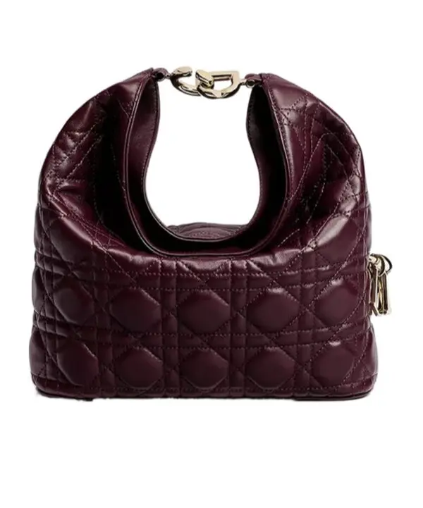 Dior Small Toujours Hobo Bag