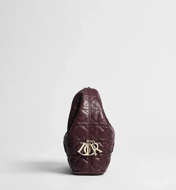 Dior Small Toujours Hobo Bag