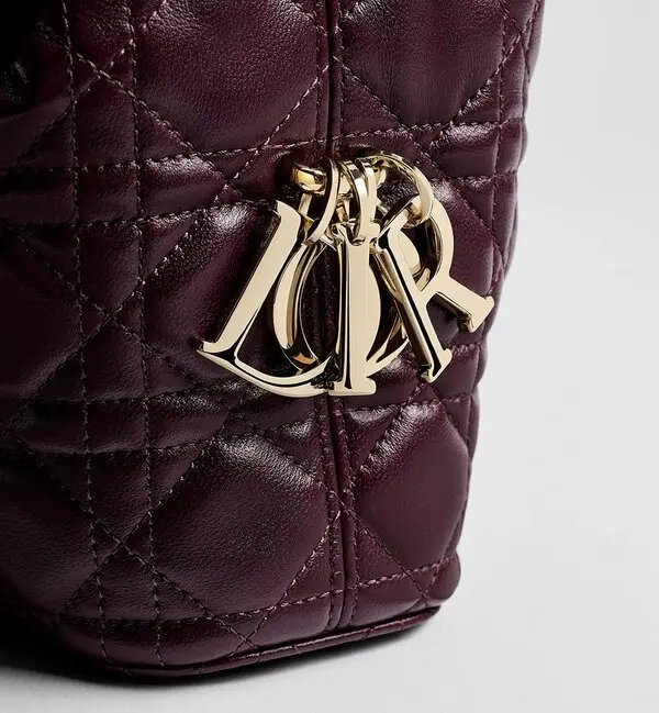 Dior Small Toujours Hobo Bag