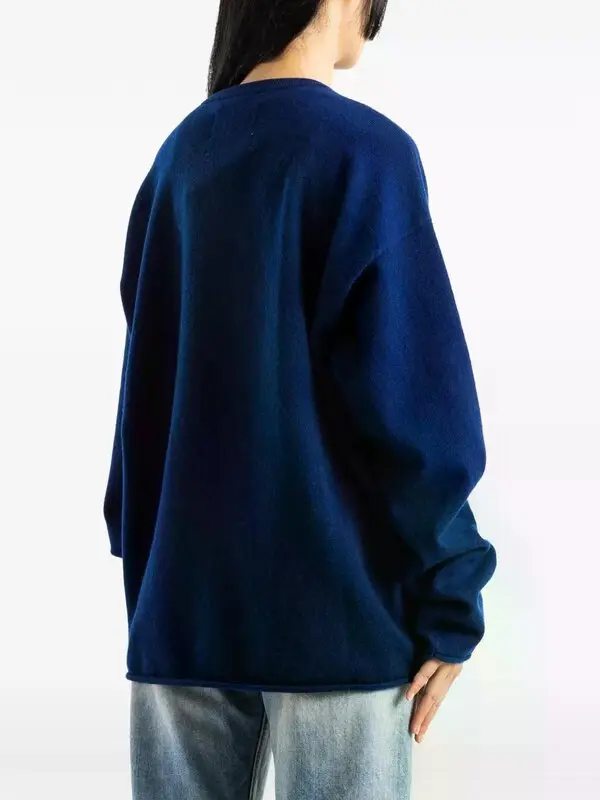 Extreme Cashmere N°493 Paolo Sweater