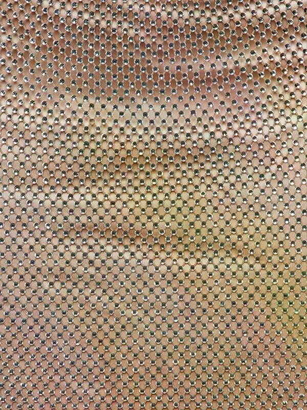 Sportmax Crystal-embellished Mesh-panelled Straight Midi Skirt - Neutrals