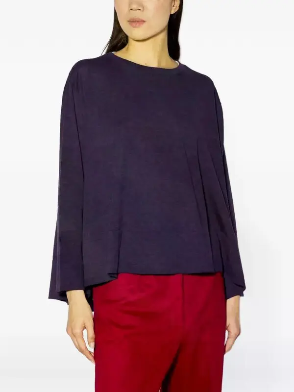 Liviana Conti Crew-neck Long-sleeve Sweater