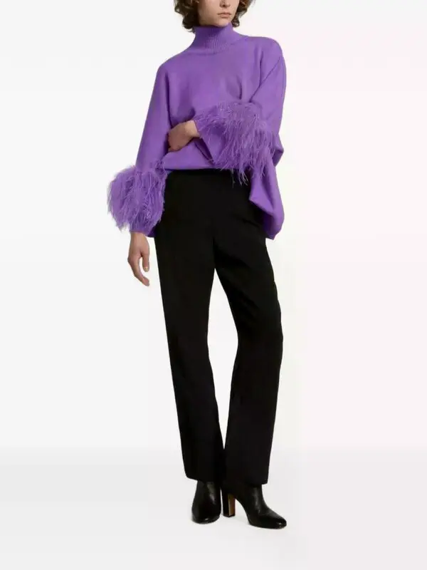 Alberta Ferretti Feather-trim Roll-neck Sweater