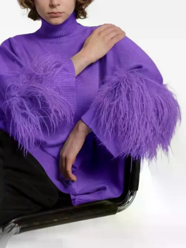 Alberta Ferretti Feather-trim Roll-neck Sweater