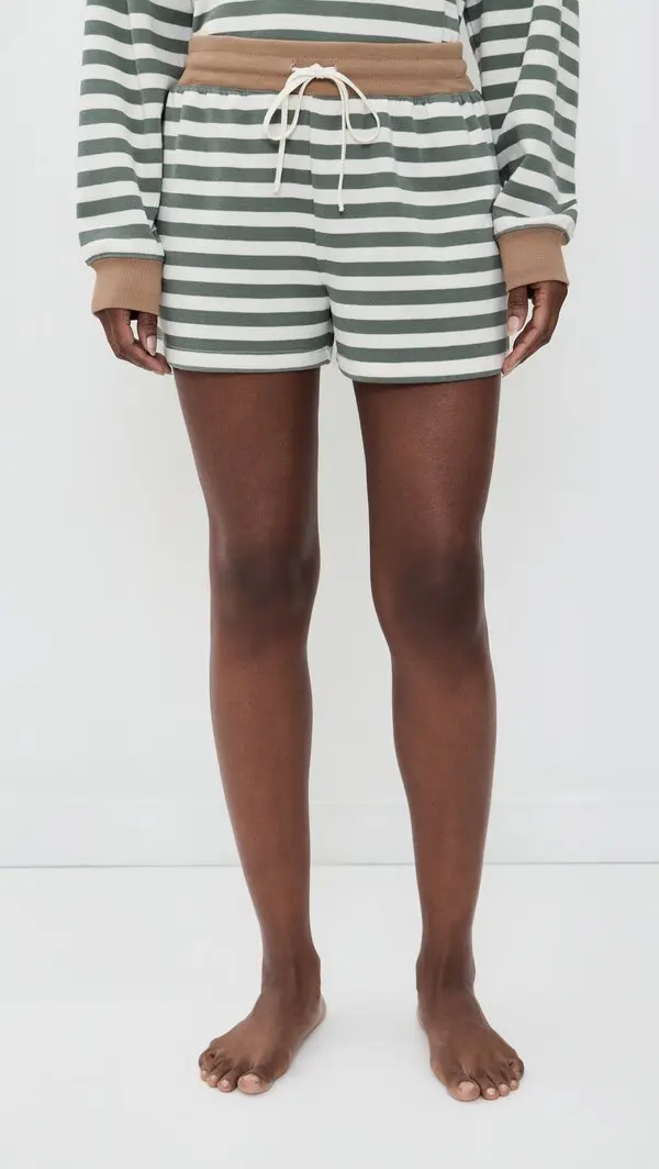 Z Supply Low Key Stripe Shorts