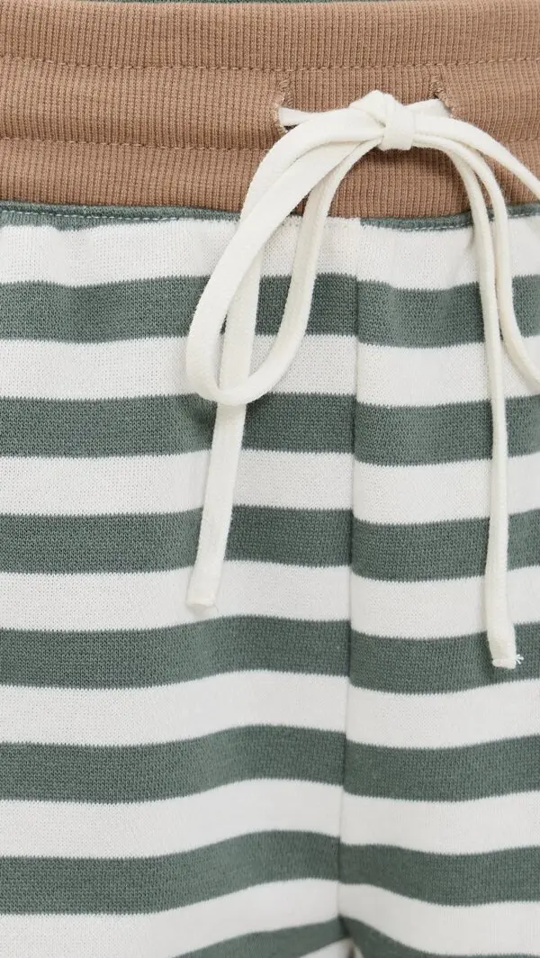 Z Supply Low Key Stripe Shorts