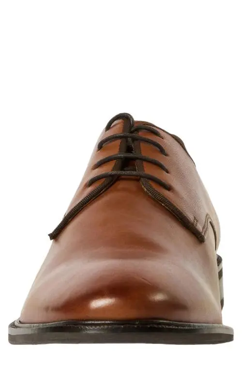 Andre Assous Arturo Plain Toe Derby - Cognac Leather