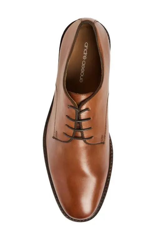 Andre Assous Arturo Plain Toe Derby - Cognac Leather