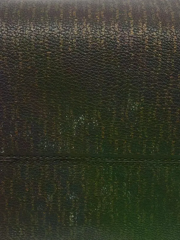 Carolina Herrera Monogram Leather Tote Bag