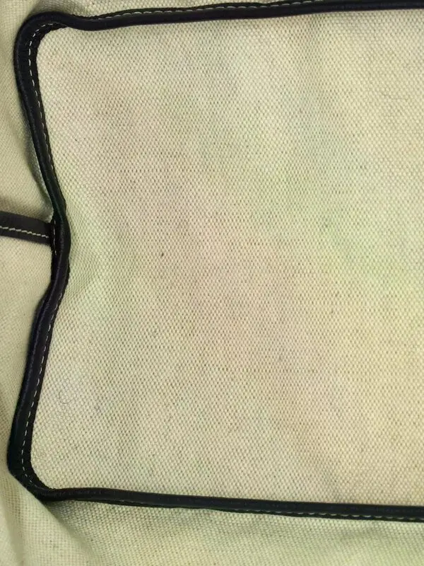 Goyard Saint Louis Printed Coated Canvas Pm Tote Bag