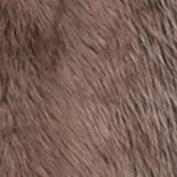 Loewe Shearling Hand-dyed Coat