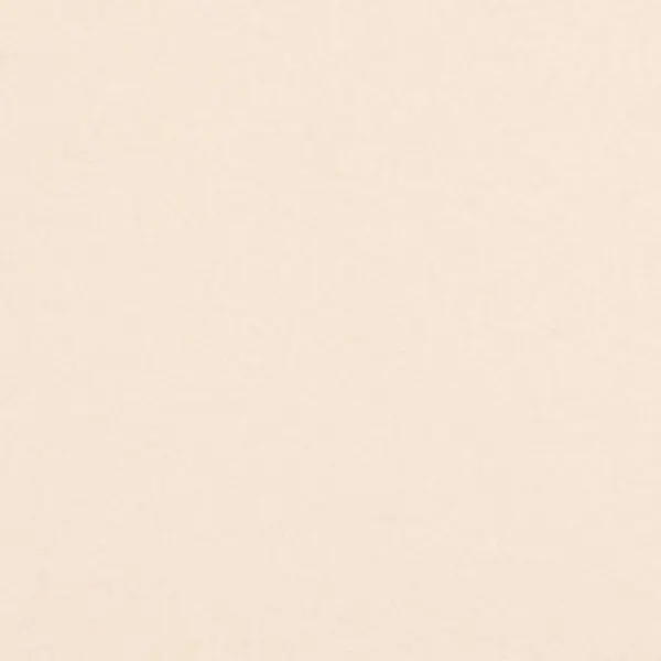Spanx Supersmooth Undie-tectable Briefs
