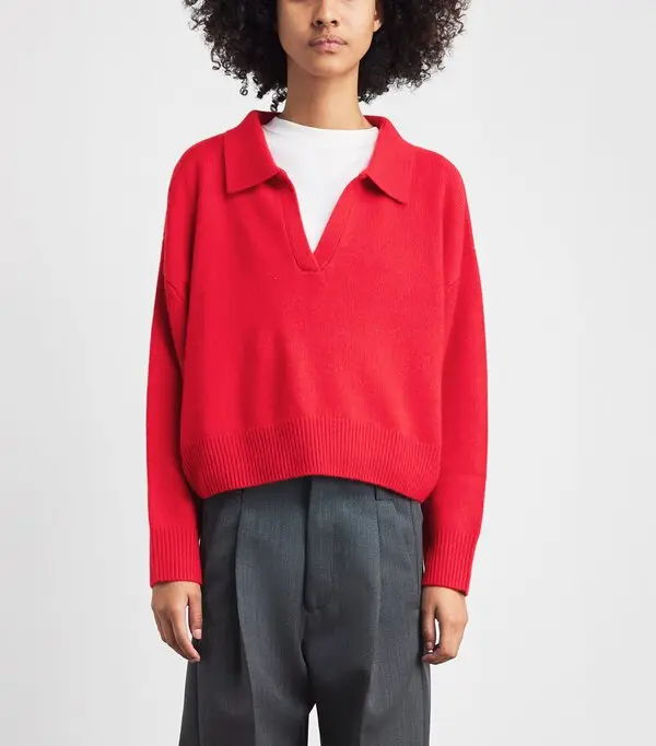Soft Goat Cashmere Polo Sweater