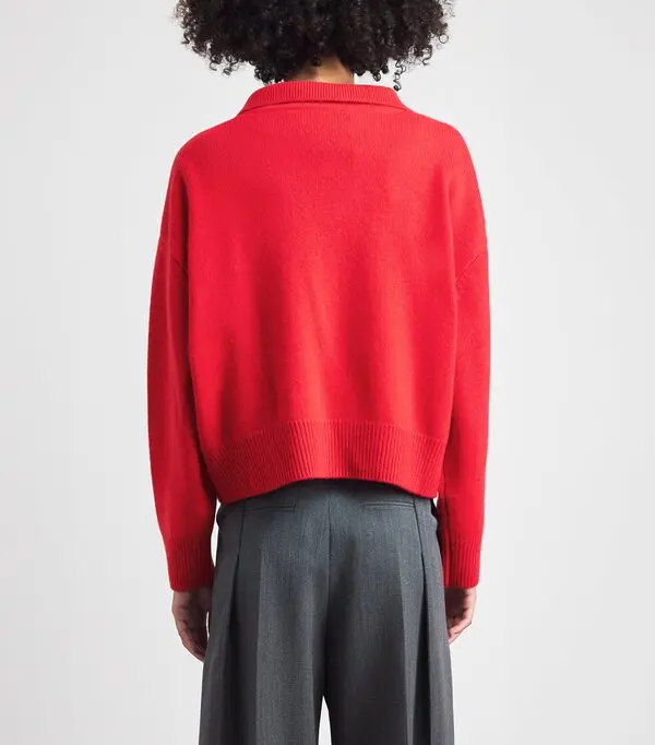 Soft Goat Cashmere Polo Sweater