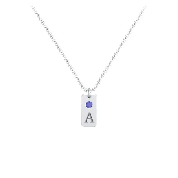Jewlr Small Initial Tag Necklace With Birthstone