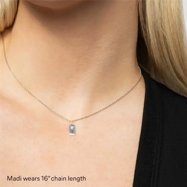 Jewlr Small Initial Tag Necklace With Birthstone