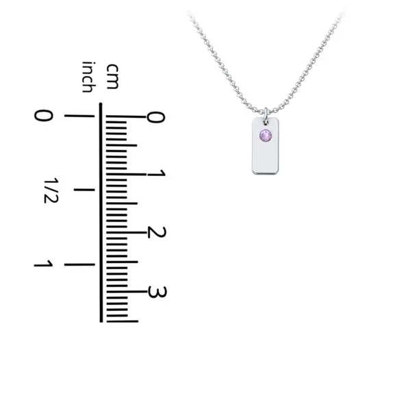 Jewlr Small Initial Tag Necklace With Birthstone