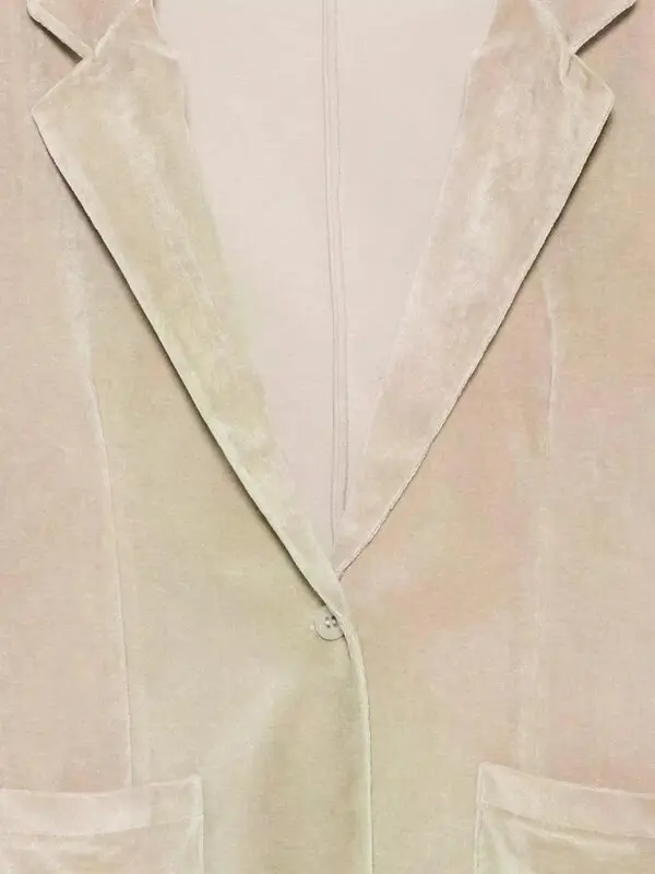 Majestic Filatures Velvet Single-breasted Blazer